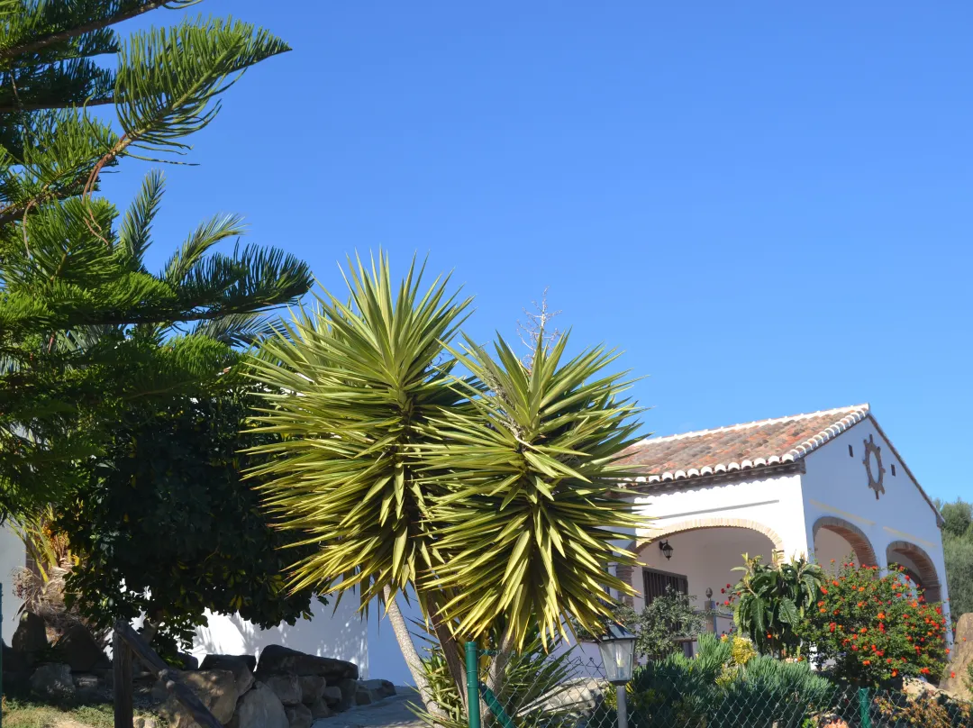 Alojamientos Huetor , Casas De Vacaciones En La Naturaleza - Alhama