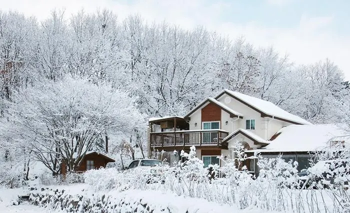 Yongin Zelkova Pension - Daejeon