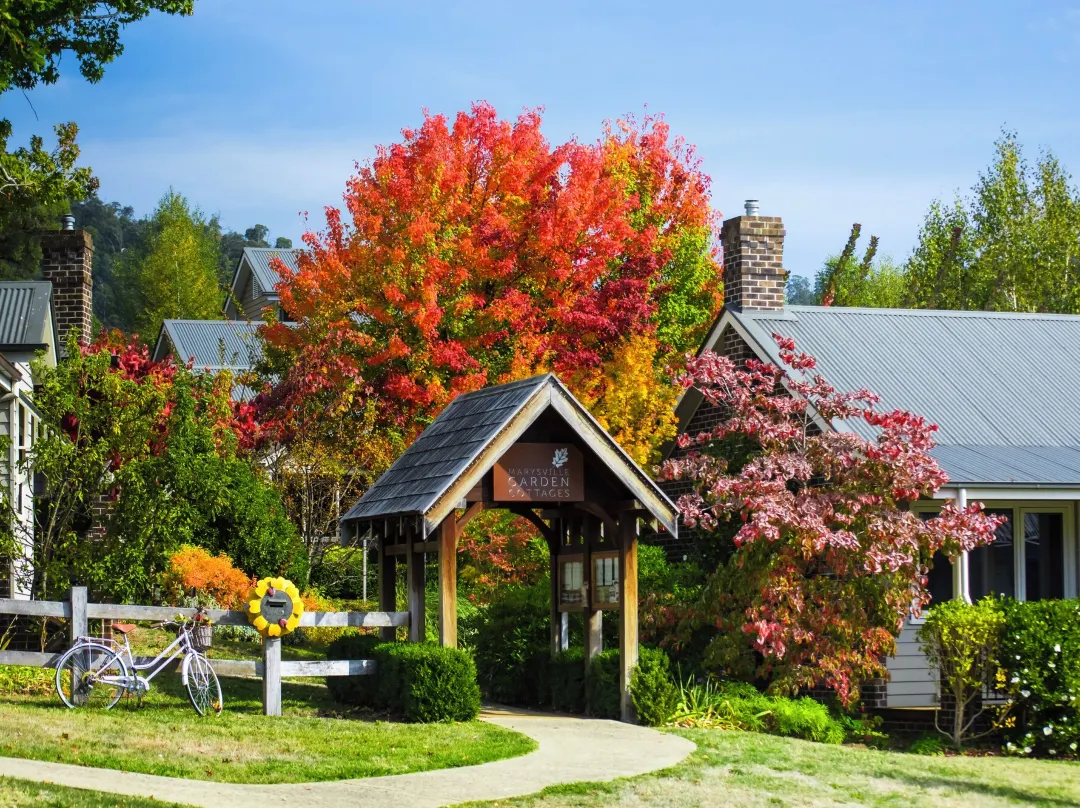 Marysville Garden Cottages - Marysville