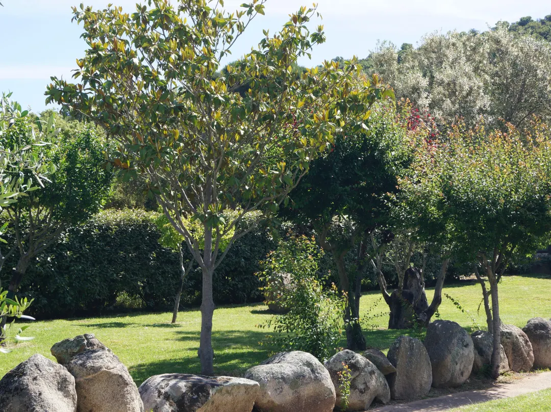 Les Jardins De Santa Giulia - Charmante Chambre D'hôte - Porto-Vecchio
