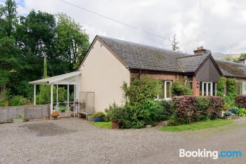 Pinetree Cottage, Dog Friendly, Holiday Let, Callander Invertrossachs ...