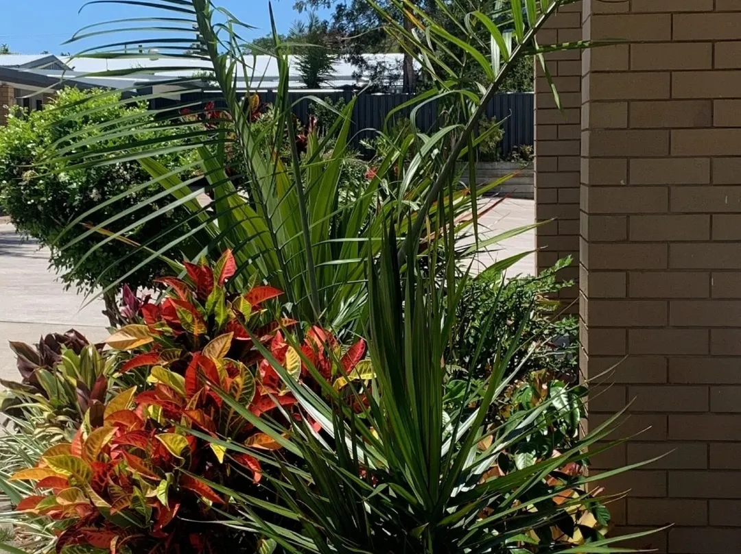 Shady Rest Motel - Gympie