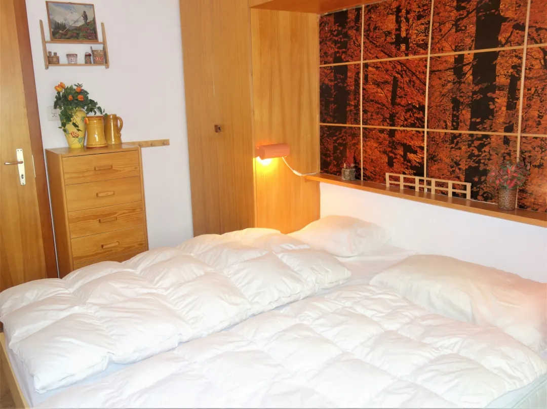 Apartment, 600m From Cable Car - Nendaz
