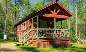 Wahoo Cabin - Table Rock, Jones Gap, Caesar’s Head, Pretty Place Chapel ...