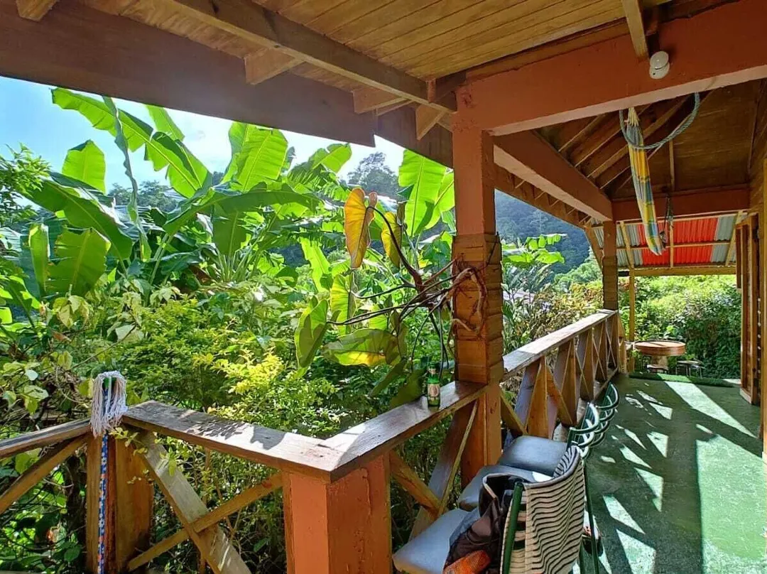 Berkey's Jungle Paradise - Dominica