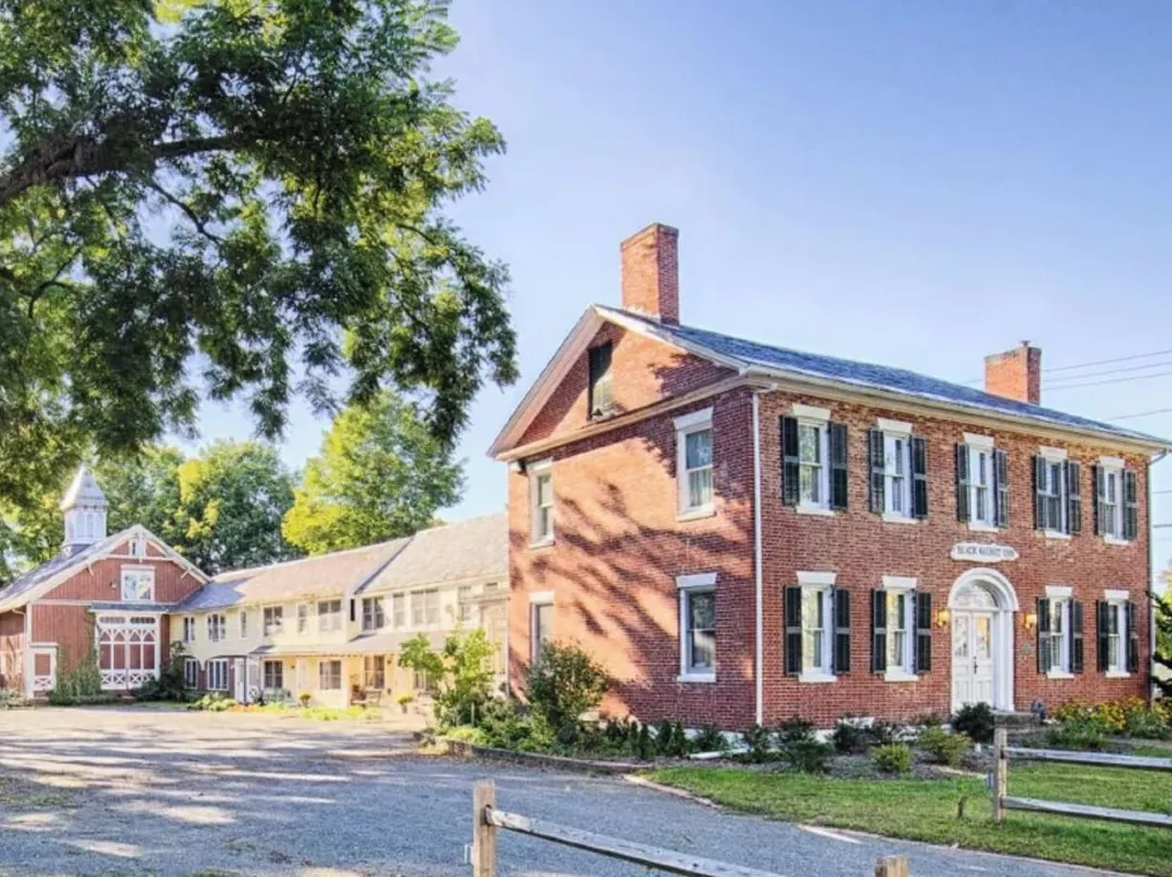 Black Walnut Inn - Northampton, MA