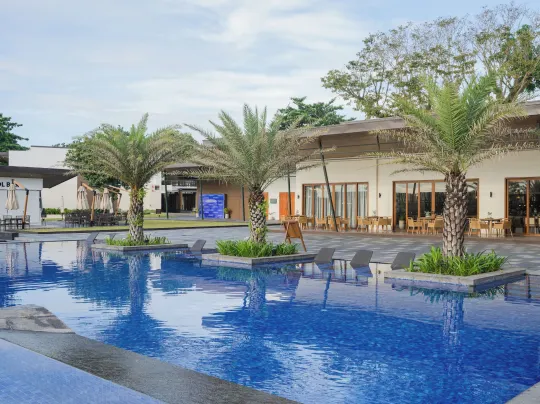 The Tropics At Macarthur Park - Palo