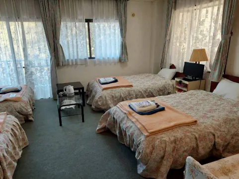 Green Plaza Hotel - Chino