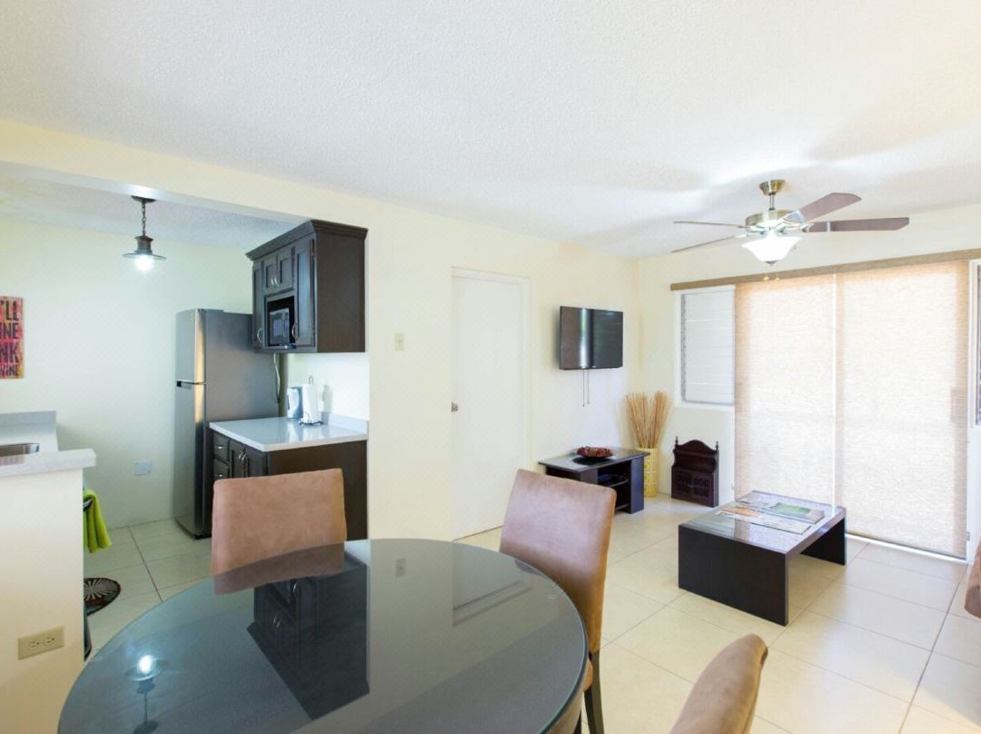 New Kingston Guest Apartment Iv - Kingston