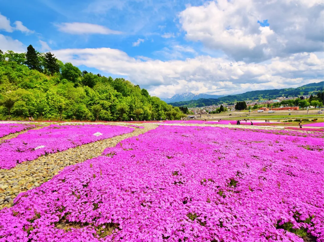 Tochiomata Onsen Healing Hot Spring Inn Jinpukan - 魚沼市