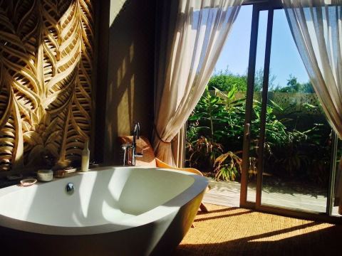 Forest Nature Spa - Western Cape