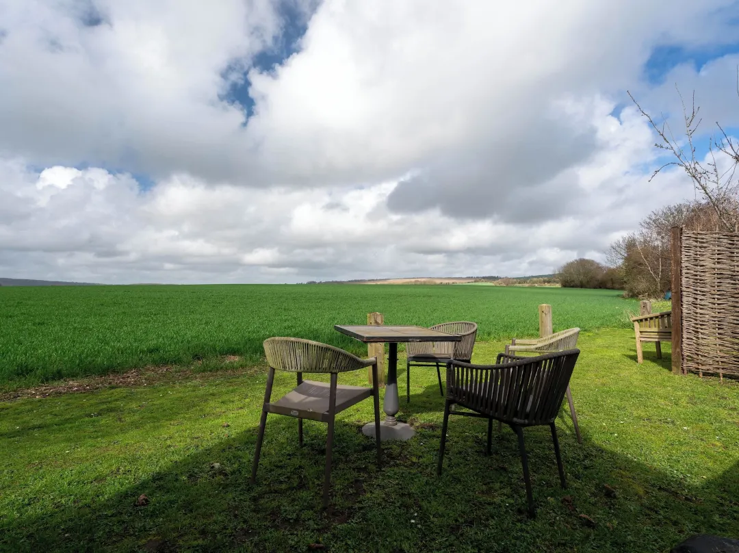 The Royal Oak Inn - Chichester