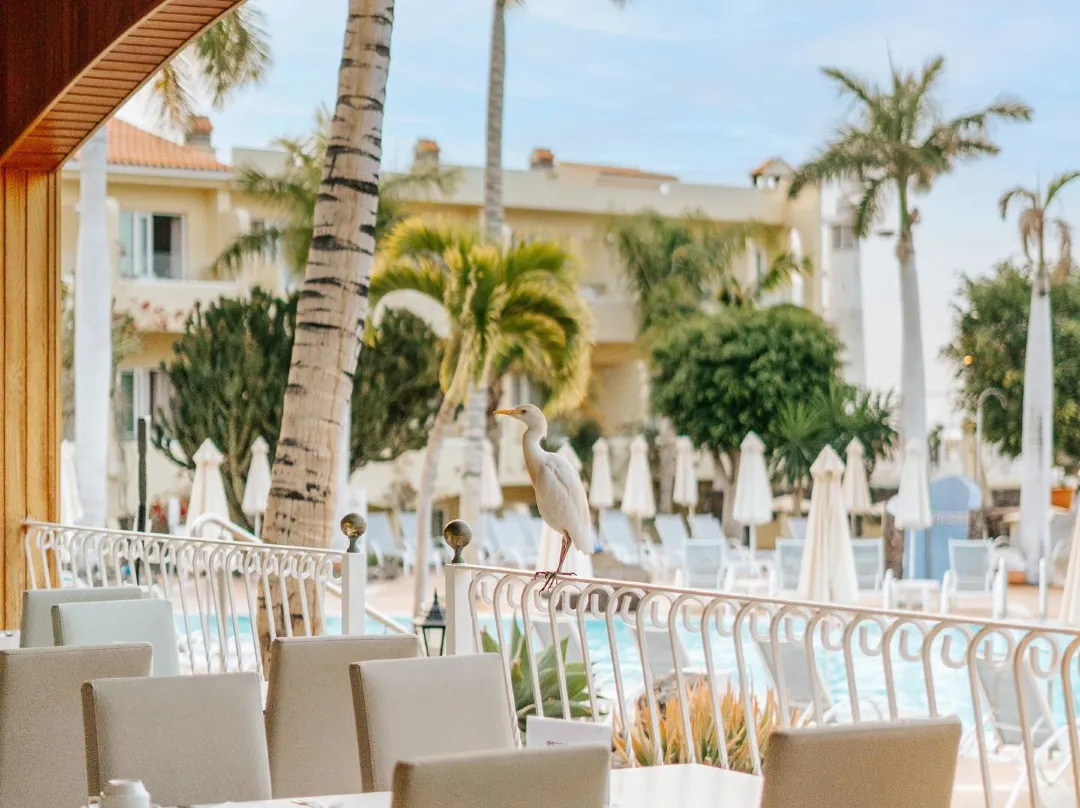 R2 Buganvilla Hotel & Spa - Fuerteventura