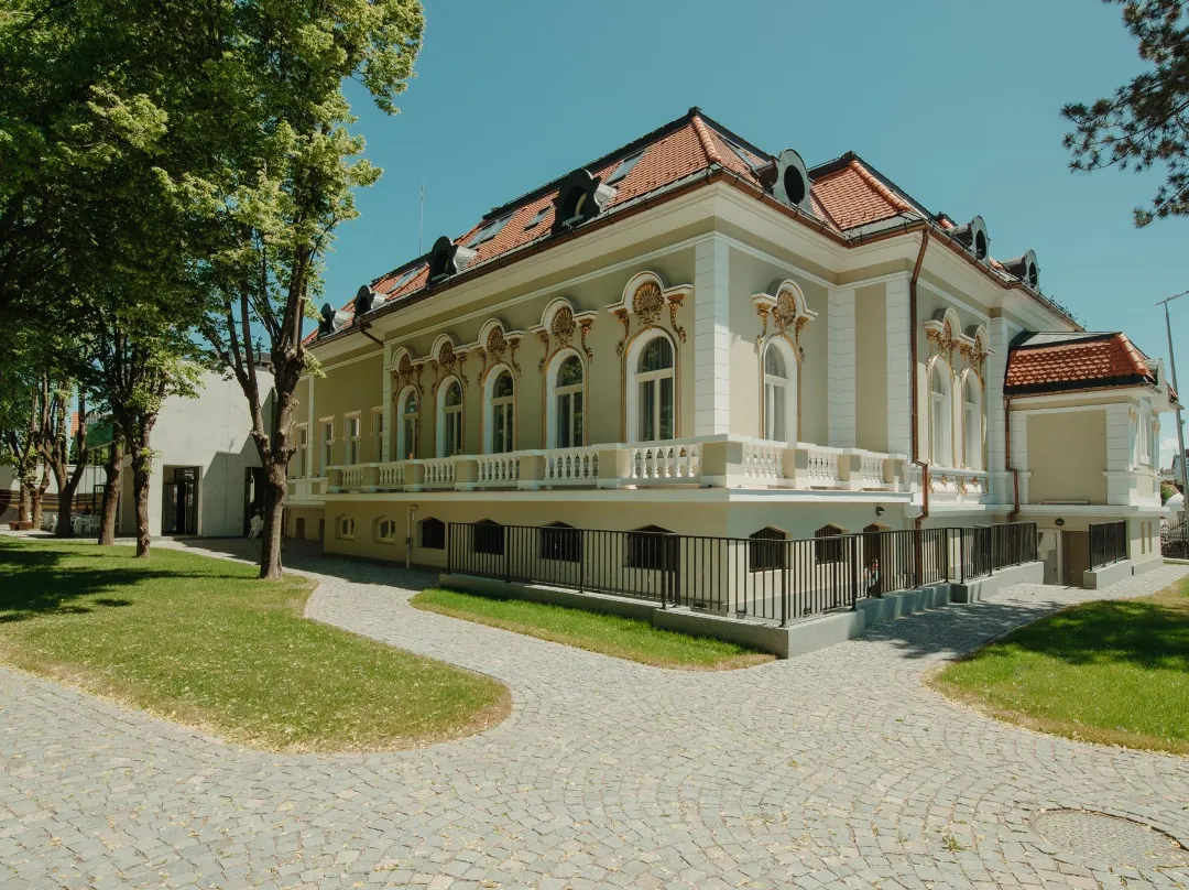 Boutique Hotel Cocosul De Aur - Târgu Mureș