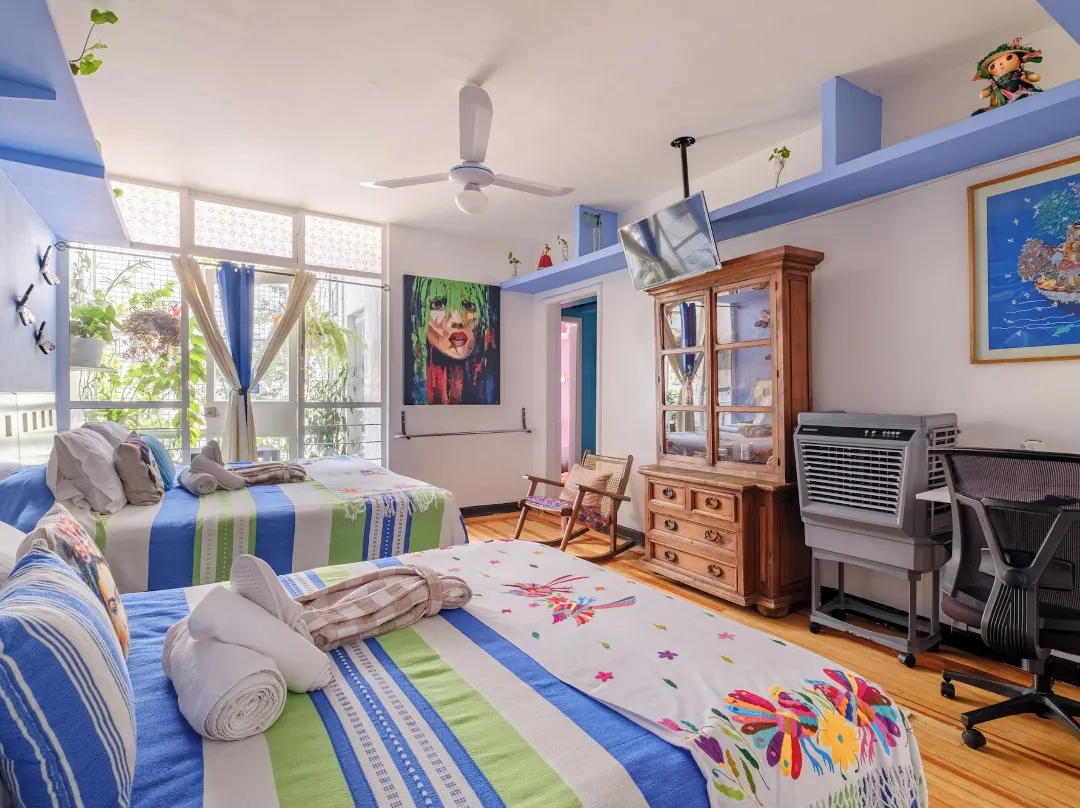 Casa Itzae B&b Polanquito Dog Friendly - Mexico City