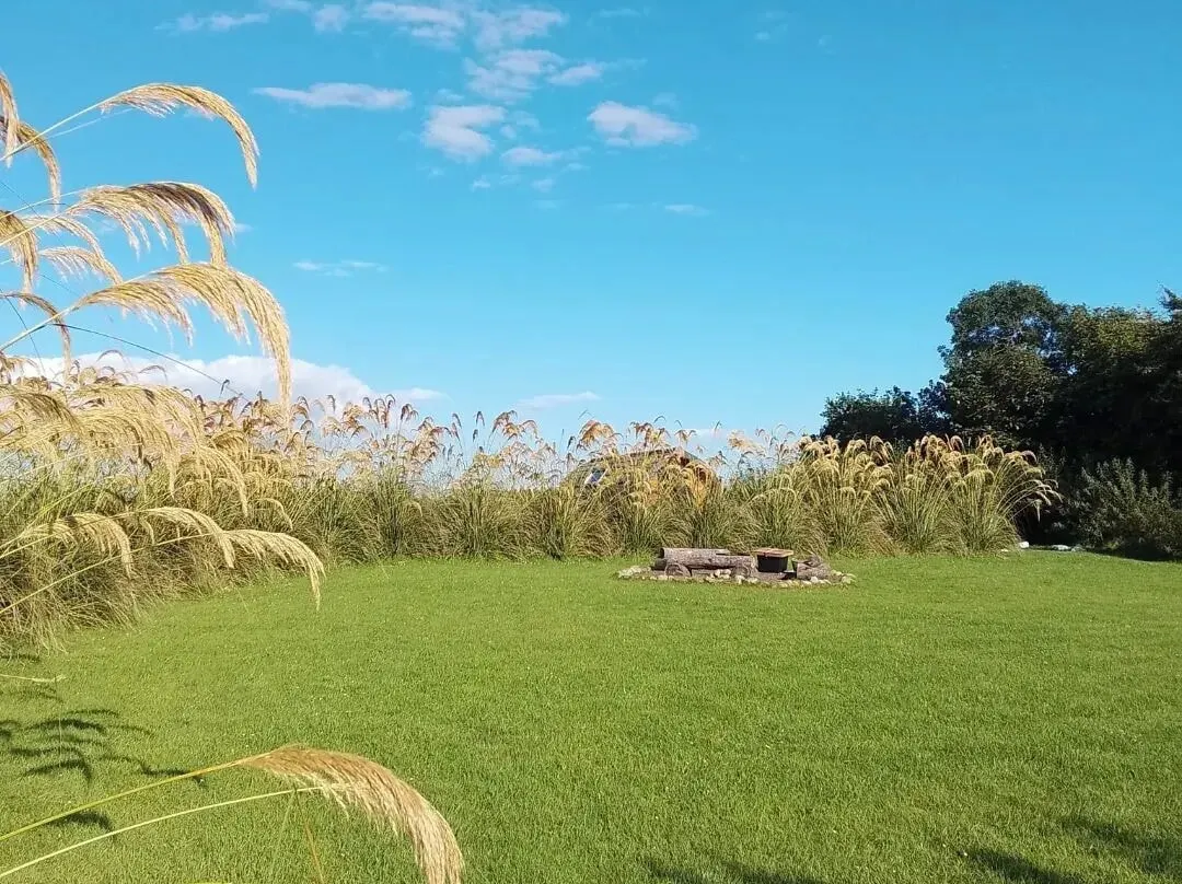 North Star Glamping - Scotland