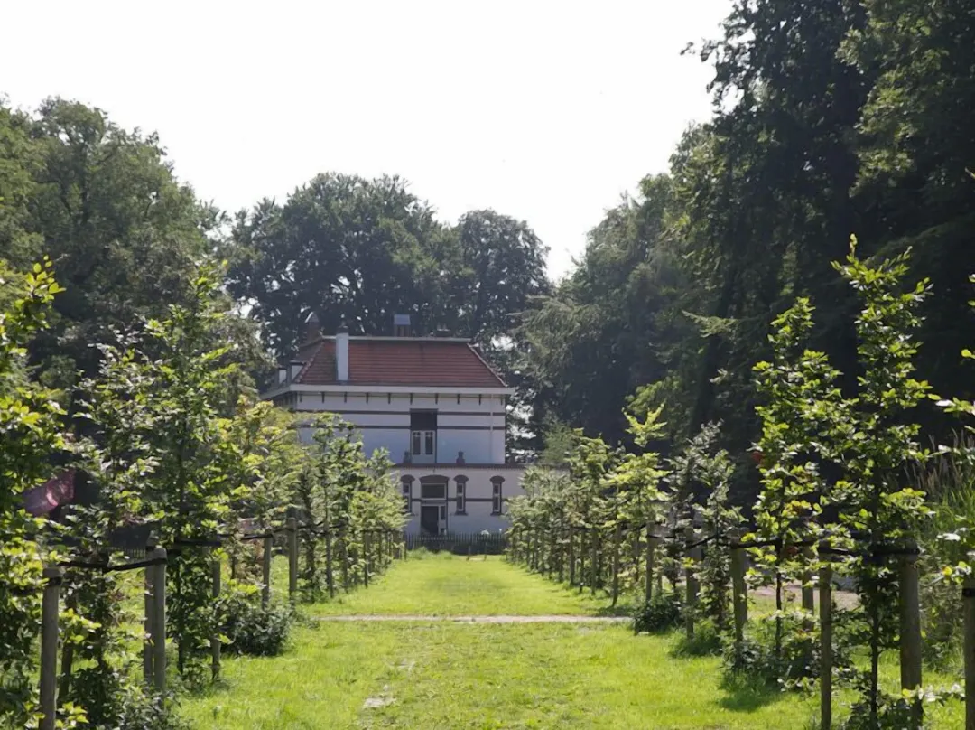 Bed & Breakfast Rijsterbosch - Frisia