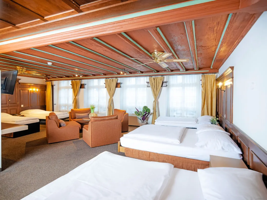 Hotel Baslertor - Luzern
