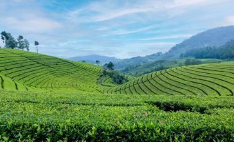 StayVista at Arya Treetops and Tea Trails, Darjeeling, 2025 Updated ...