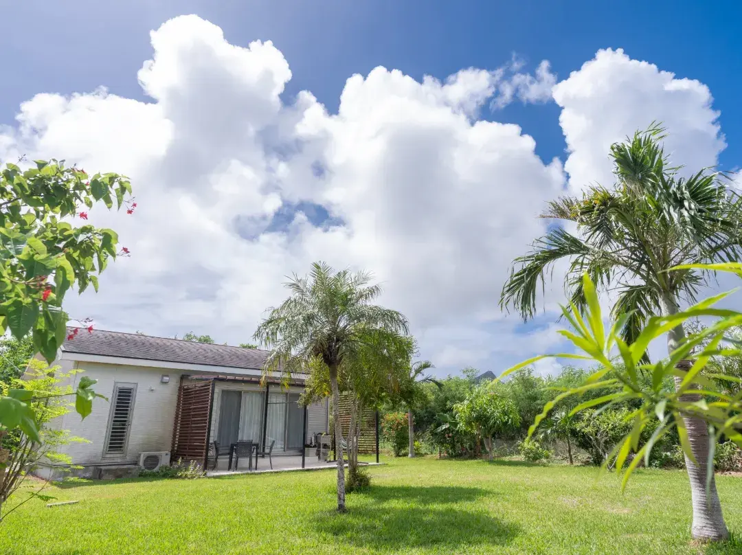 Oasis Nosoko - Ishigaki