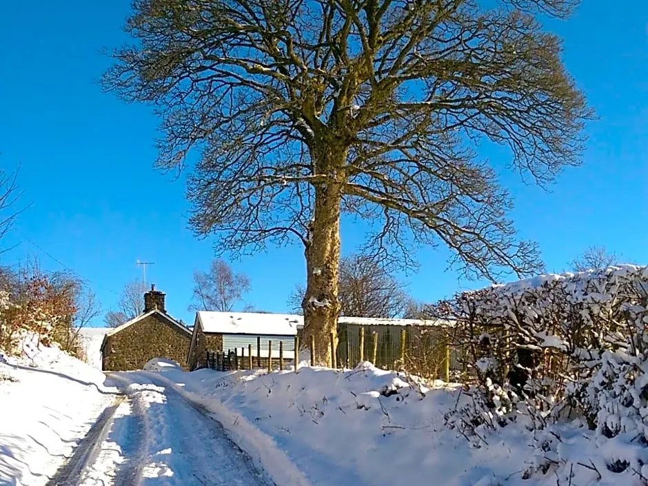Pant Glas Barn - Wales