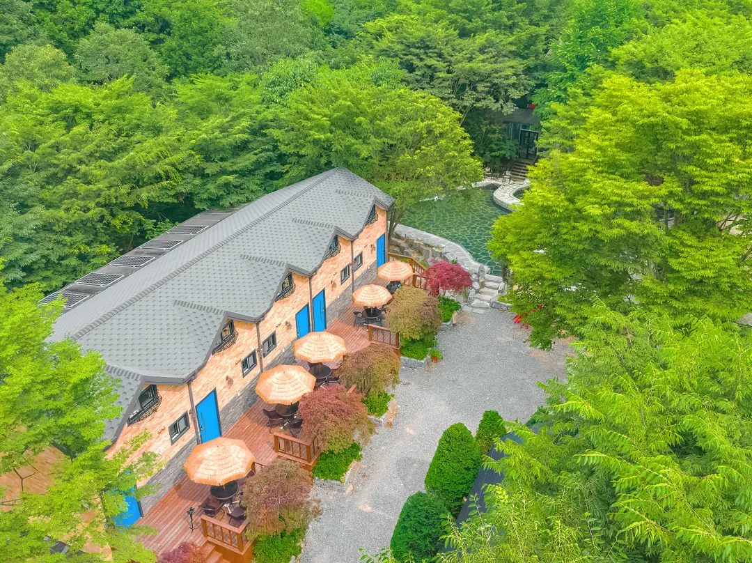 Paju Pine Valley - Paju-si