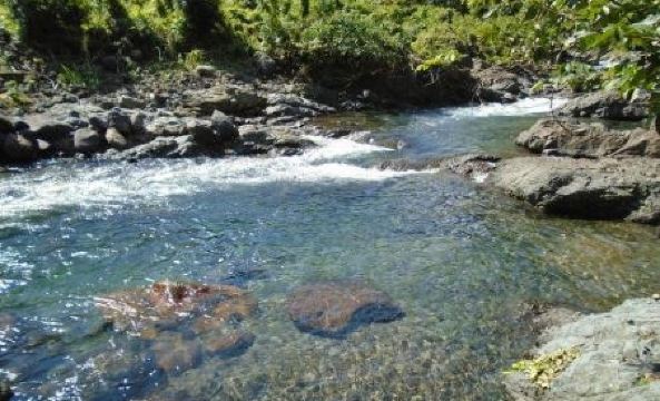 Portland's Riverside Retreat - SuiteTrails