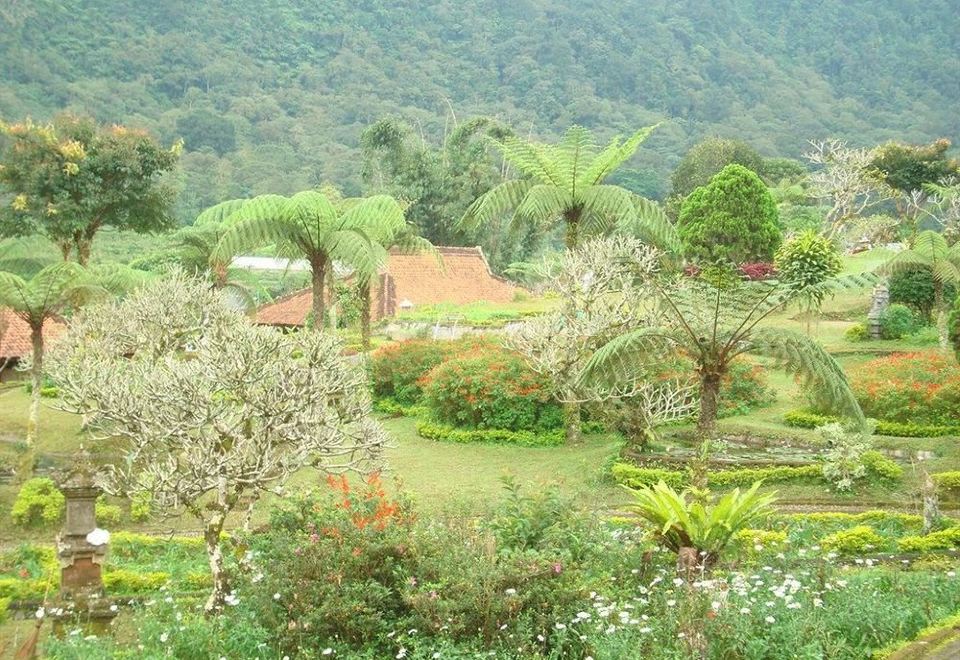 Danau Buyan Resort,Bali - Updated 2024 Reviews & Prices | Trip.com