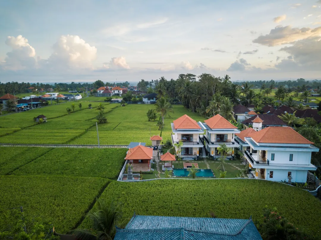 The Patra Ubud - Ubud