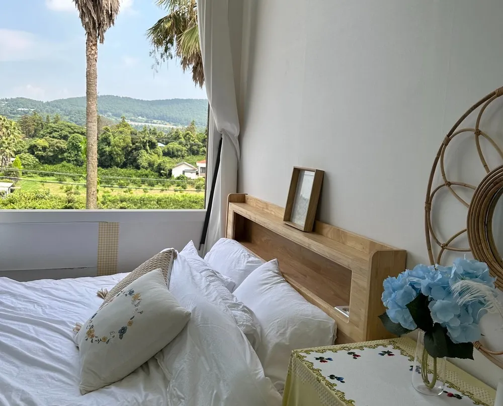 Triangle - 표선면