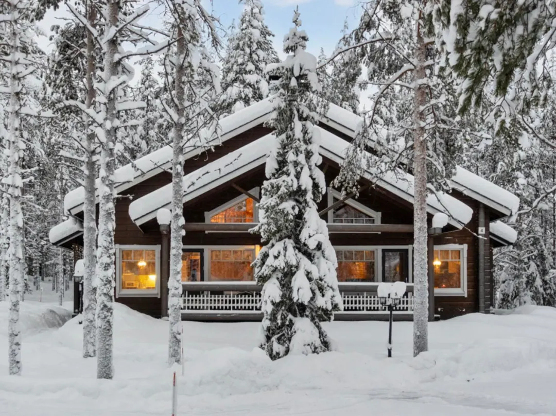 Artturi - Lapland