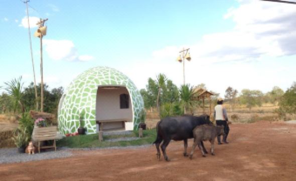 The Country Farm Resort and Home Stay, 2023 | Trip.com