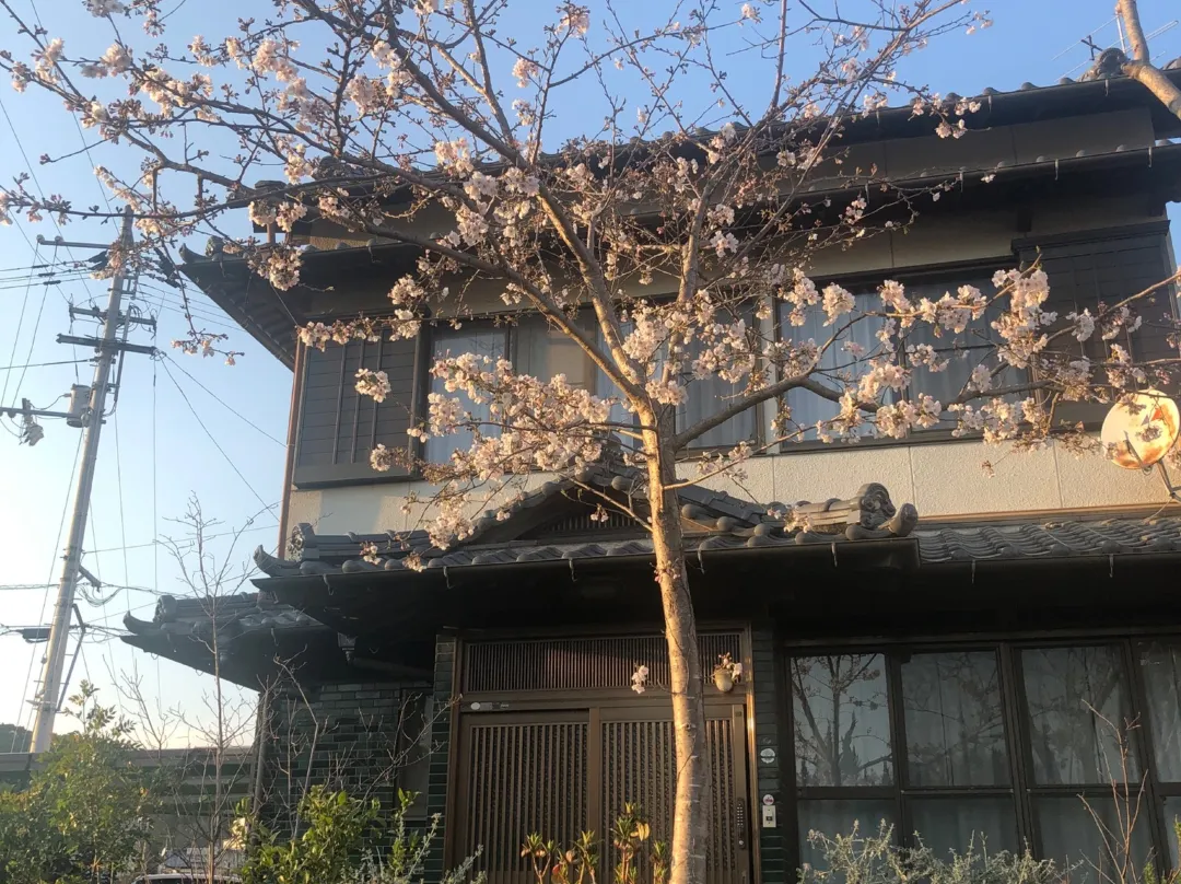 Woman Only Ohenro House33 - Vacation Stay 27239v - Kochi