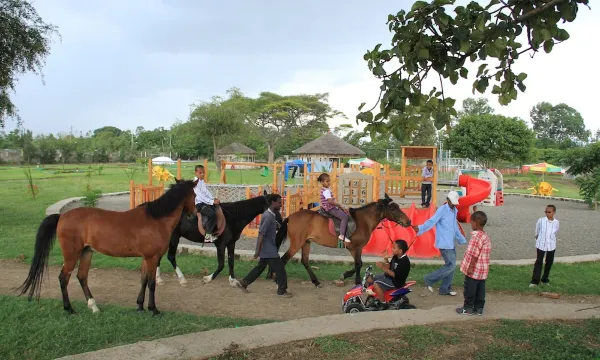 Haile Resort Hawassa, Hawassa (Prices & Reviews 2024) | Trip.com