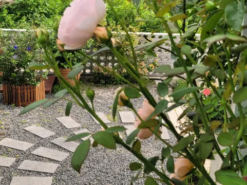 Chuncheon Onda Poolvilla - Hongcheon-gun