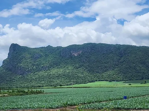 Route 323 Cafe & Resort - Kanchanaburi