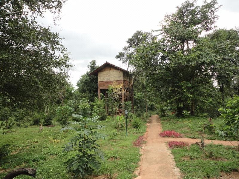 インオンザツリーエコリゾートシギリヤを宿泊予約-Kimbissa | Trip.com