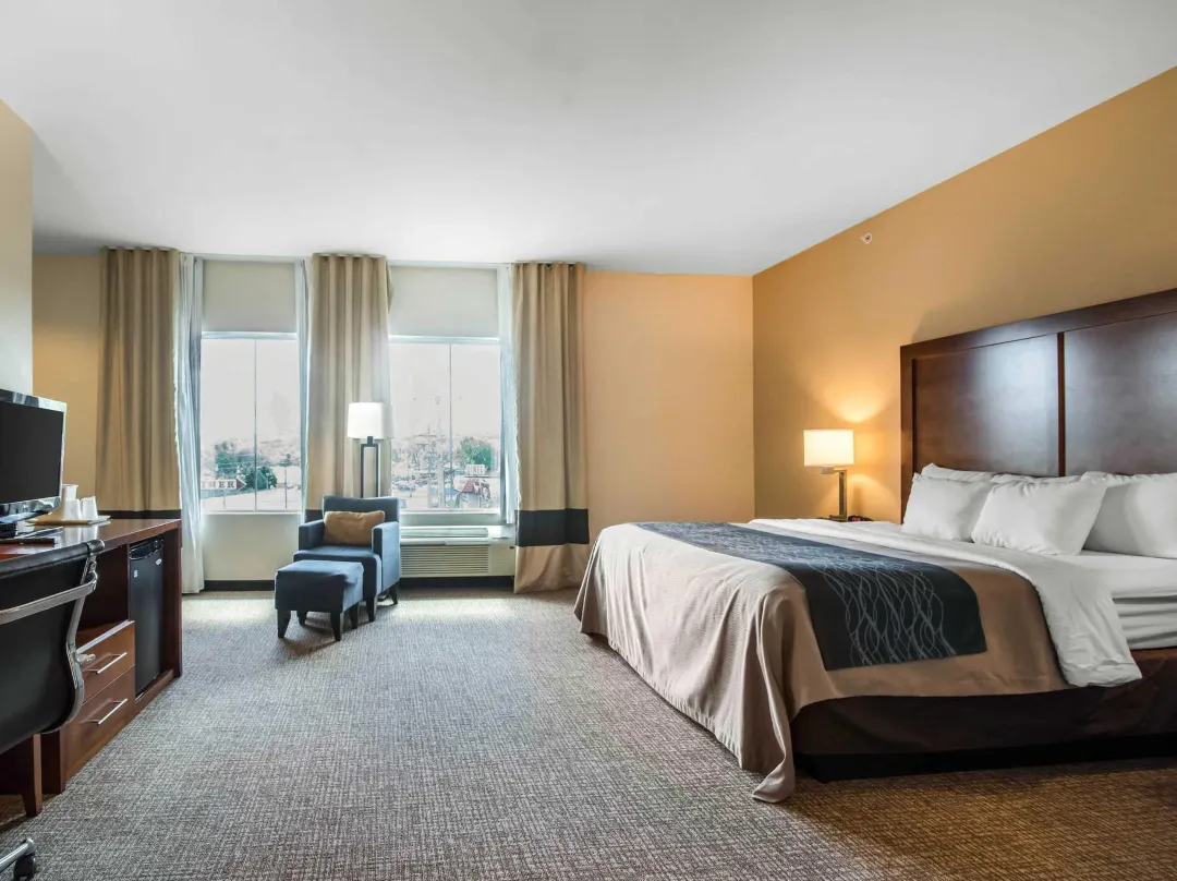 Comfort Inn Apalachin / Binghamton W Route 17 - State of New York