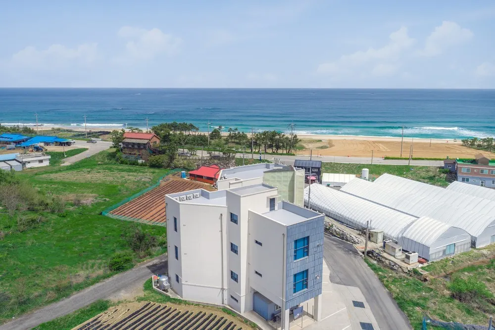 Gangneung M Spa Pension - Gangneung-si