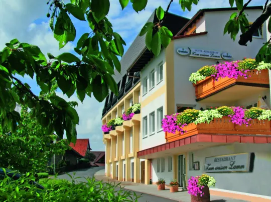 Zum Weissen Lamm - Wald-Michelbach