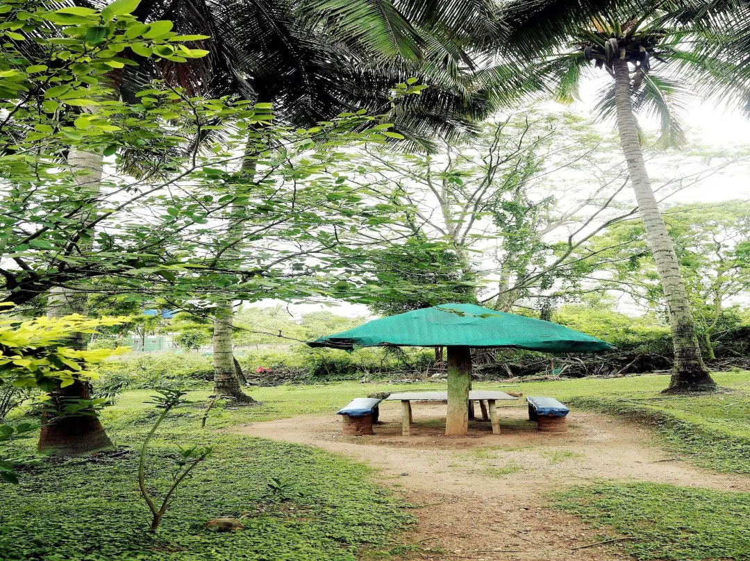Jungle Paradise Farm & Guest House - Masinagudi