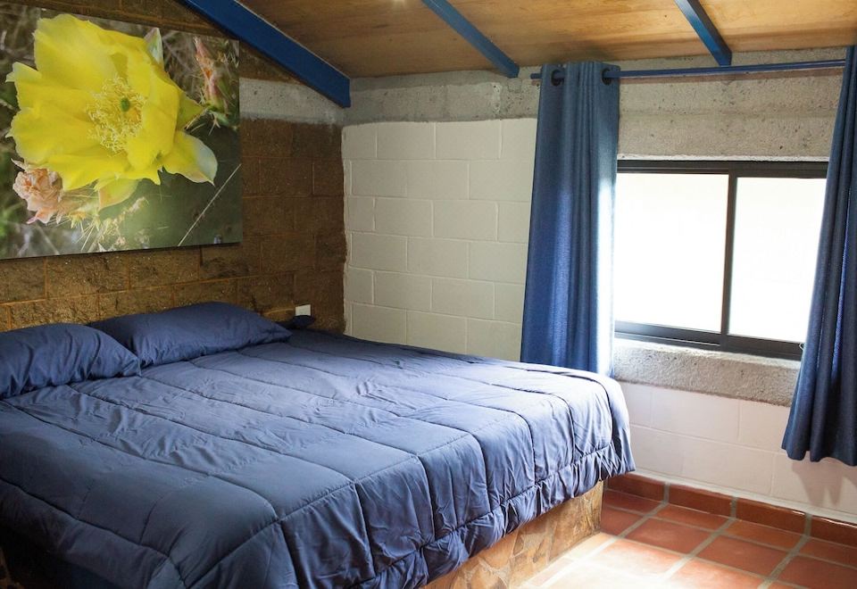 Cabañas Bungalos las Alazanas,San Antonio de las Alazanas - Updated ...