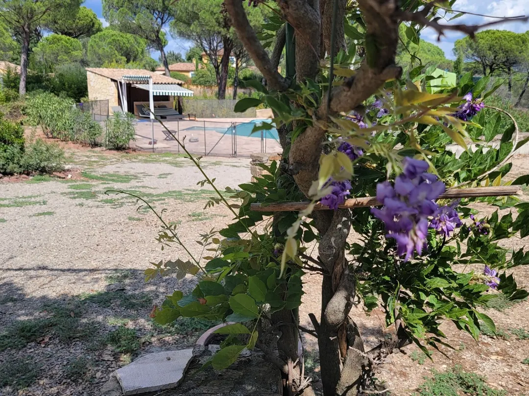 Le Mas Du Rouquan - Vidauban