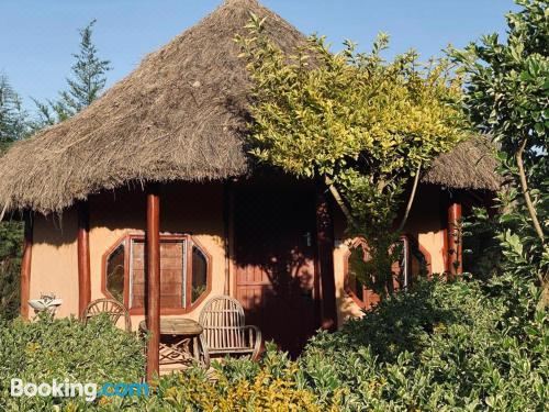 The Great Circle Lodge, Kieni East (Prices & Reviews 2024) | Trip.com