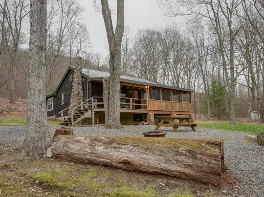 Outdoor Fire Pit And Serene Setting - Charming Rustic Retreat - Bald Eagle State Forest, Laurelton