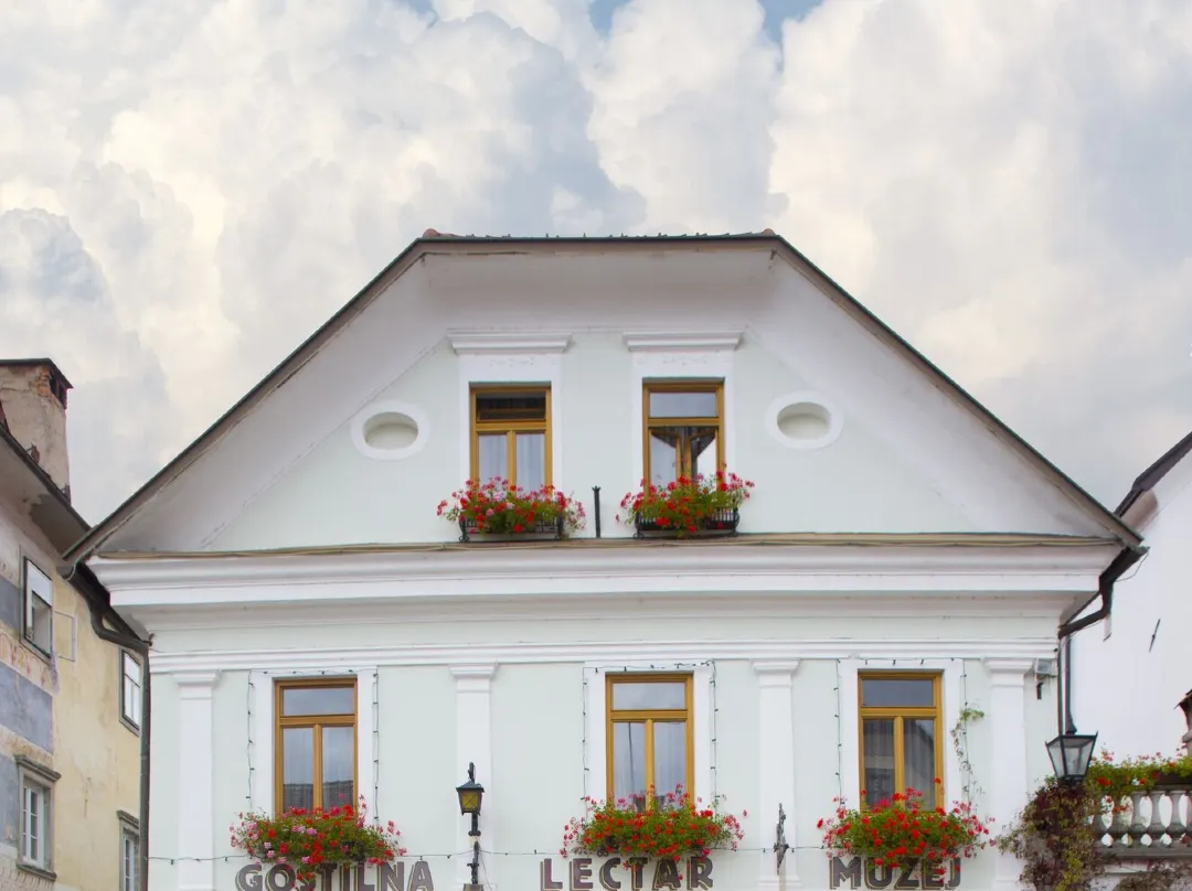 Pension Lectar - Slovenia