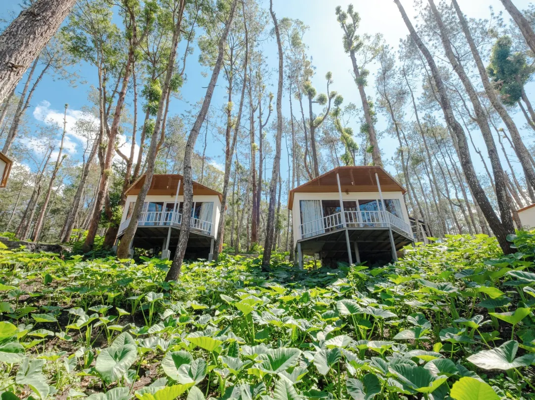 La Pino Mount Batur And Hot Spring - Kintamani
