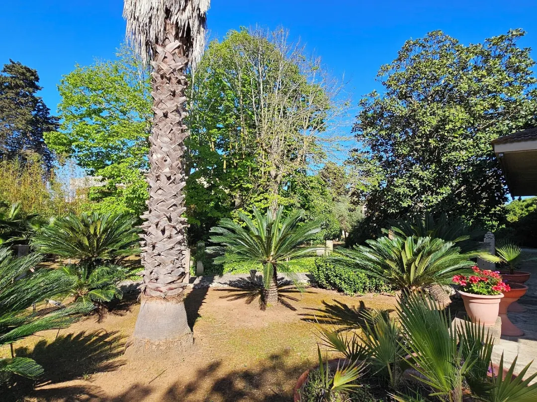 La Pineta - Lecce