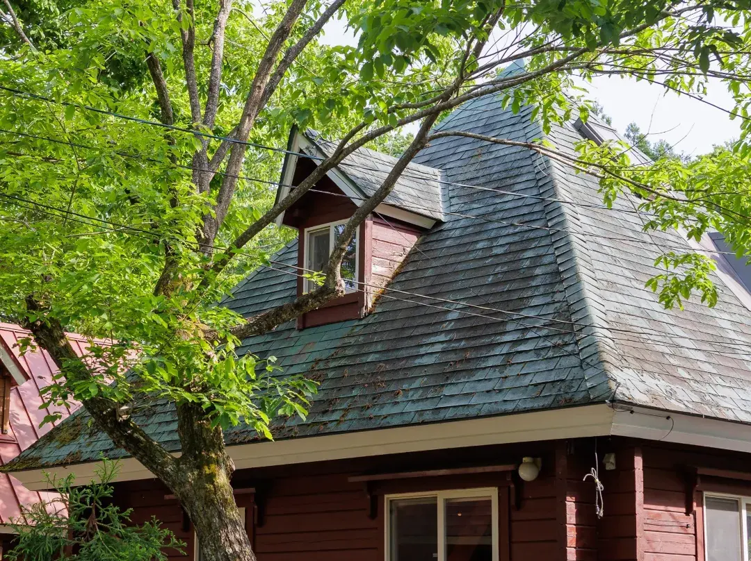 A Resort Log House For Rent Piilo - 비와 호