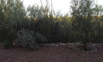 Peaceful Quiet Home in the Desert, Pima County - Latest Prices and ...